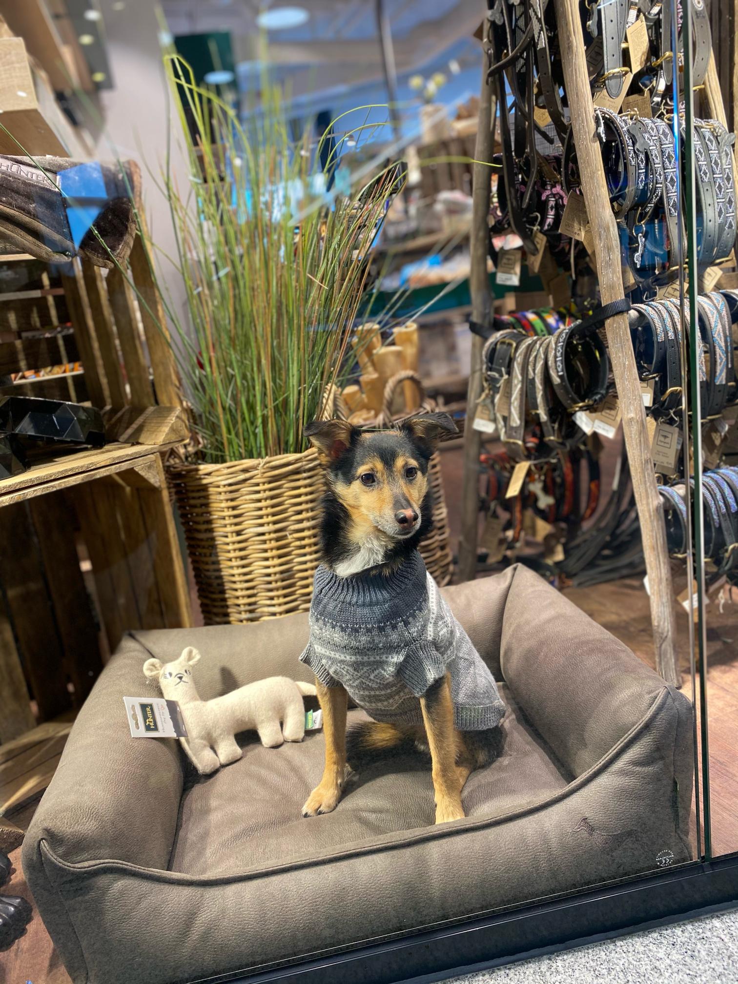 HUNTER Oslo Brandstores & Salons – Glitre Zoo